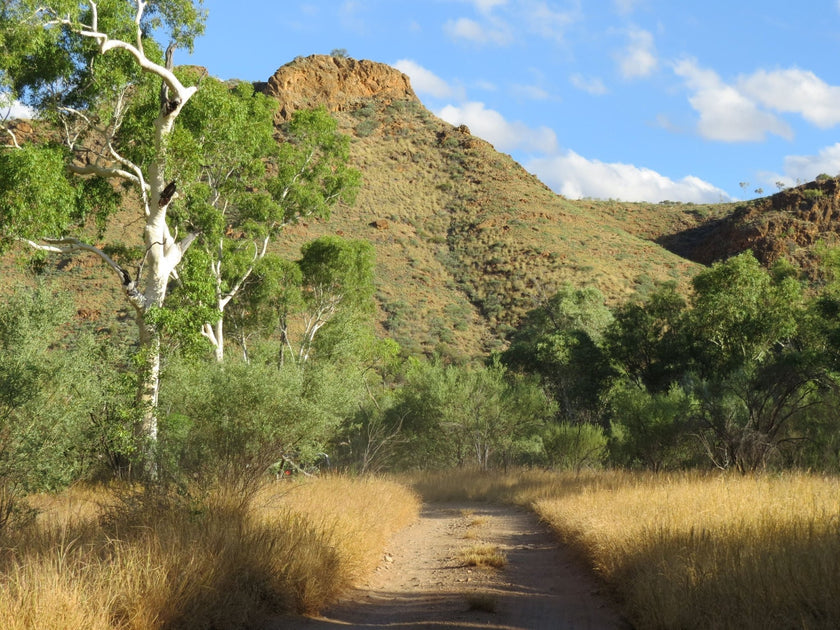 Offroad sightseeing within coo-ee (200km) of Alice Springs – Hema Maps